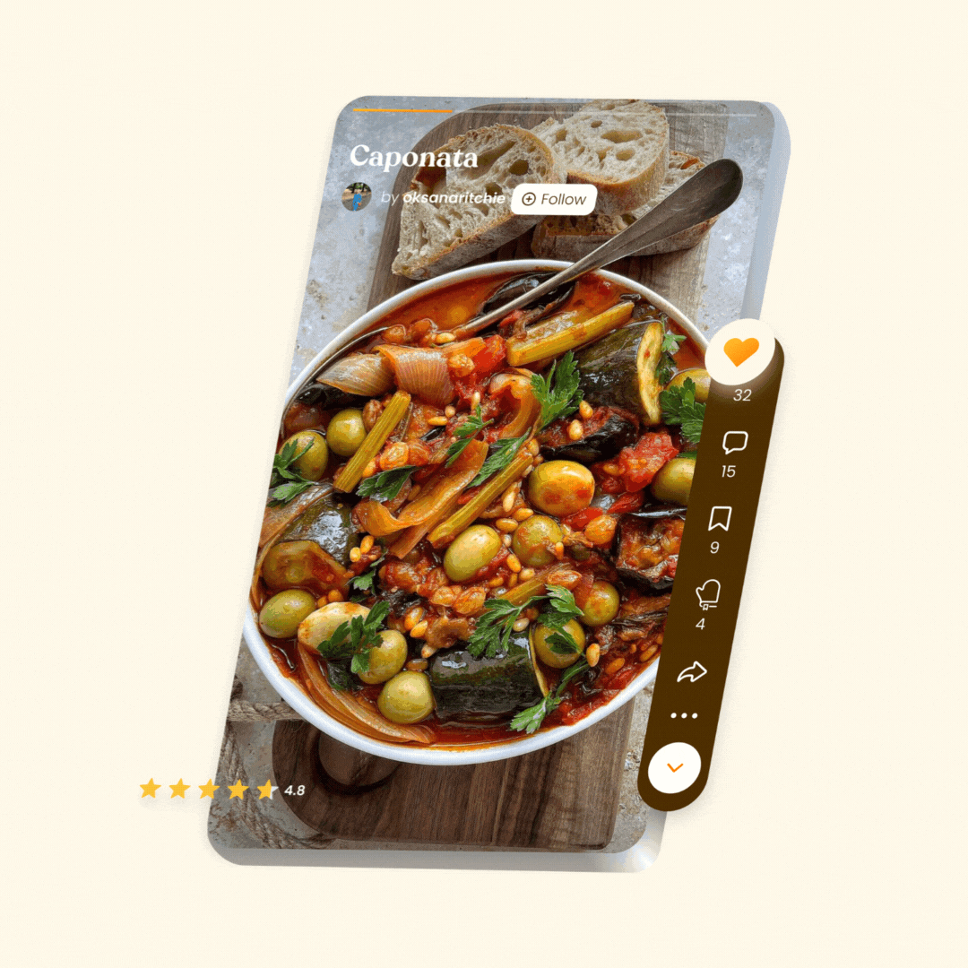 Terms and Conditions